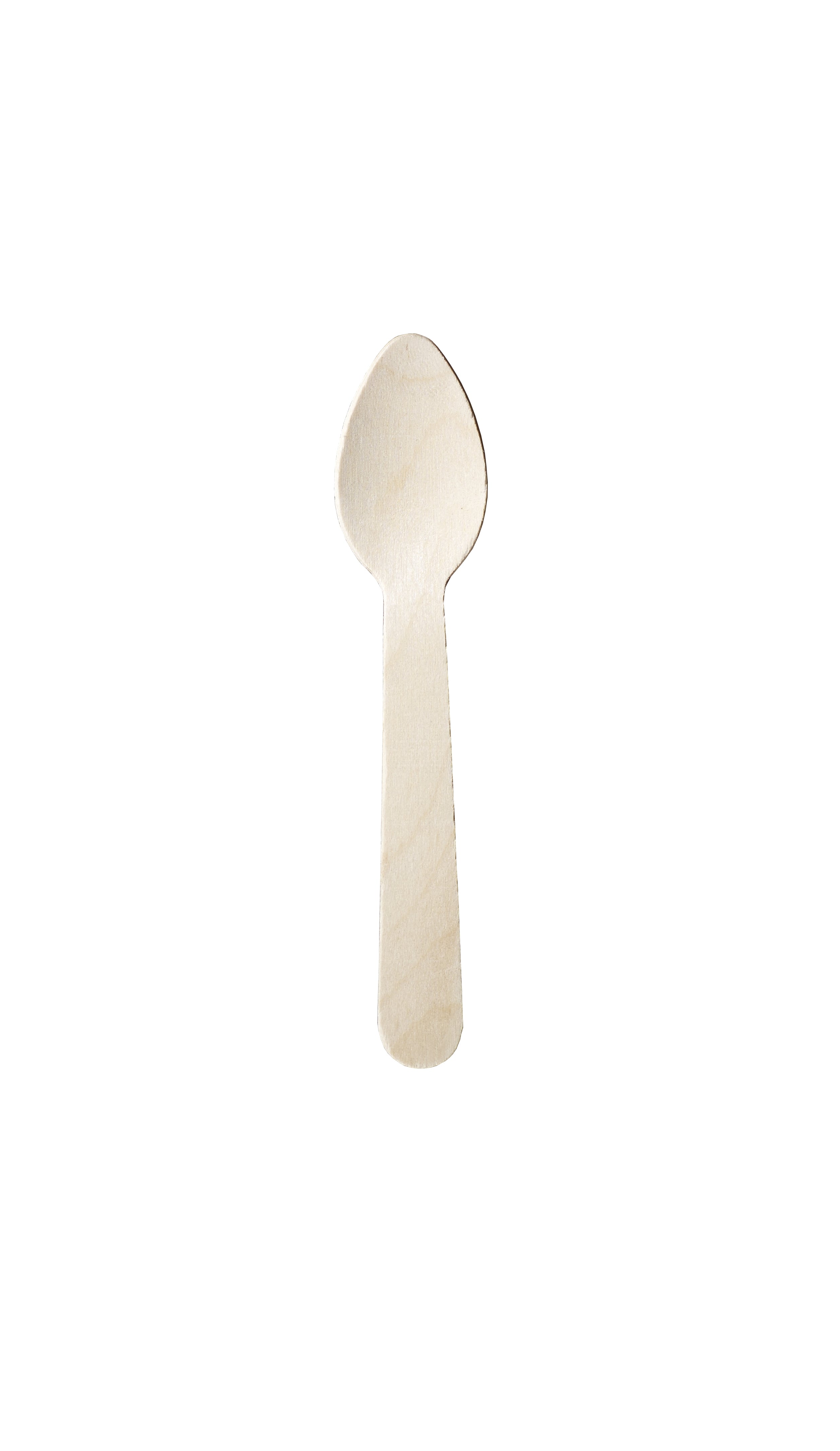 Compostable Wooden Tea Spoon - 1000pk
